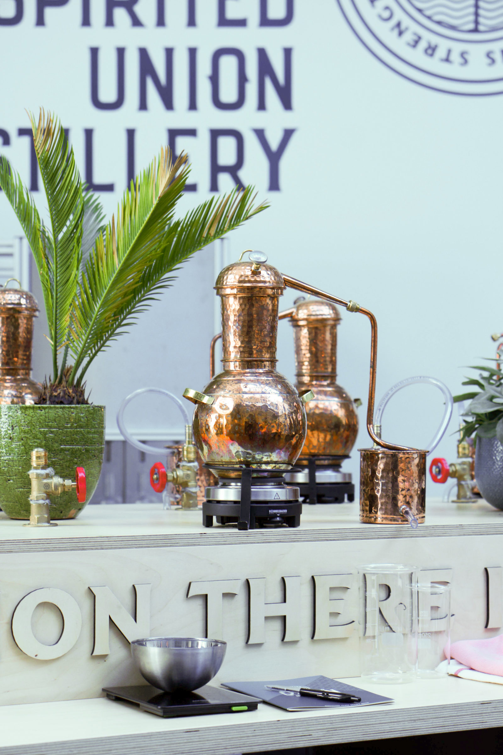 Une nouvelle catégorie des botanical rums avec Spirited Union ...