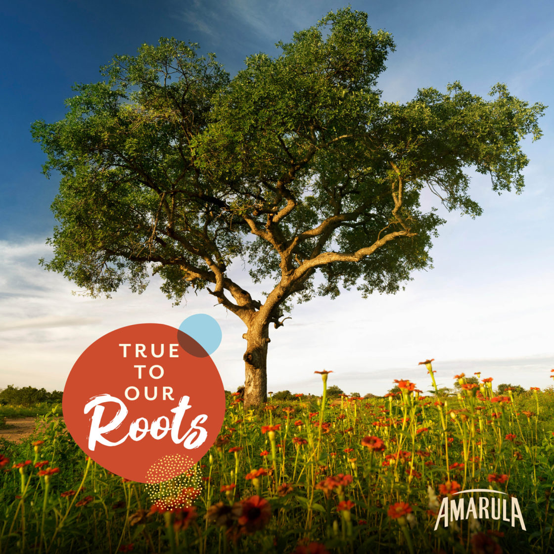 Amarula, l’Afrique du Sud en bouteille - Alambic Magazine